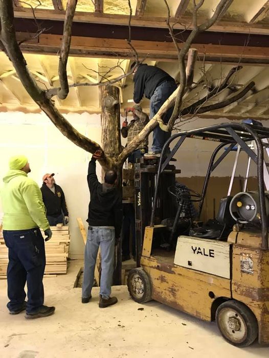 Building the “Box”